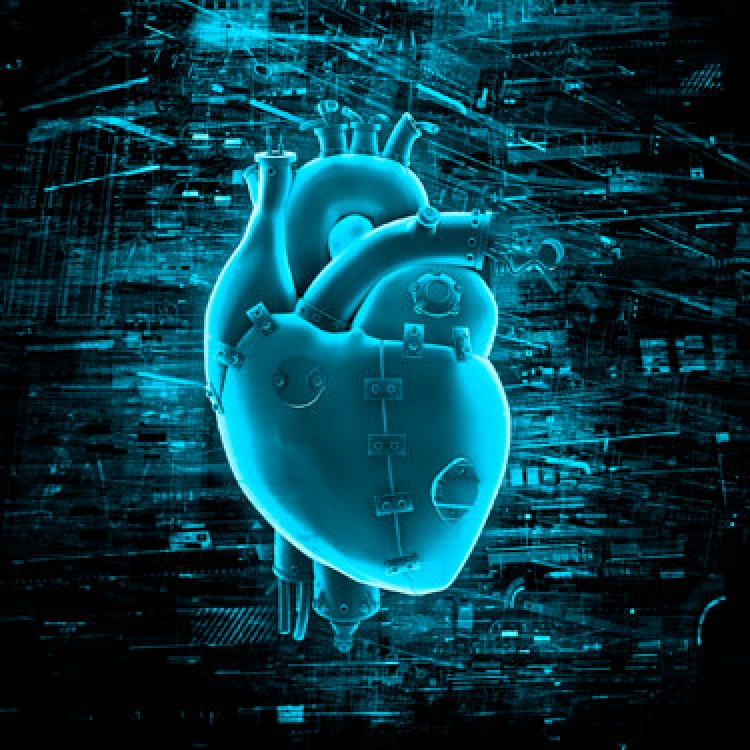 Why people risk should be at the heart of cyber security | Airmic
