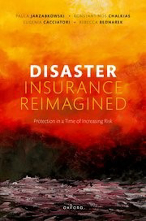 Disaster insurance reimagined – an interview with co-author Paula ...