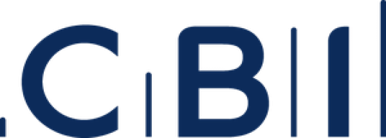 Cultural transformation at the CBI _ lessons from the cultural ...